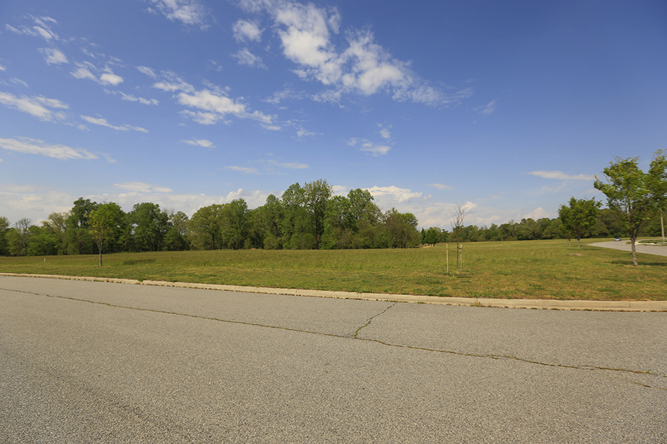 Nansemond River Estates, Cullen Lane Suffolk, VA 23435 Community