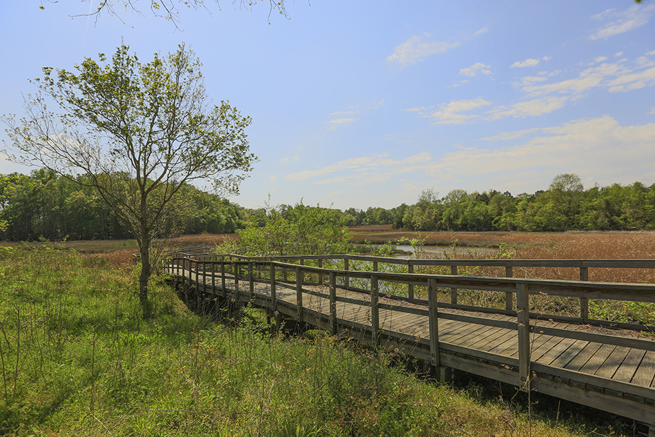 Nansemond River Estates, Cullen Lane Suffolk, VA 23435 Community